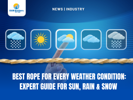 Best Rope for Every Weather Condition: Expert Guide for Sun, Rain & Snow